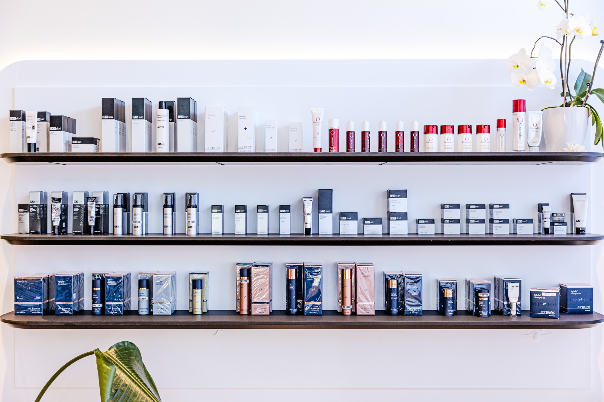 Shop - Kate Allen Aesthetics